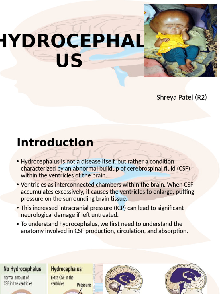 Ug Lecture 1 | PDF | Cerebrospinal Fluid | Physical Therapy
