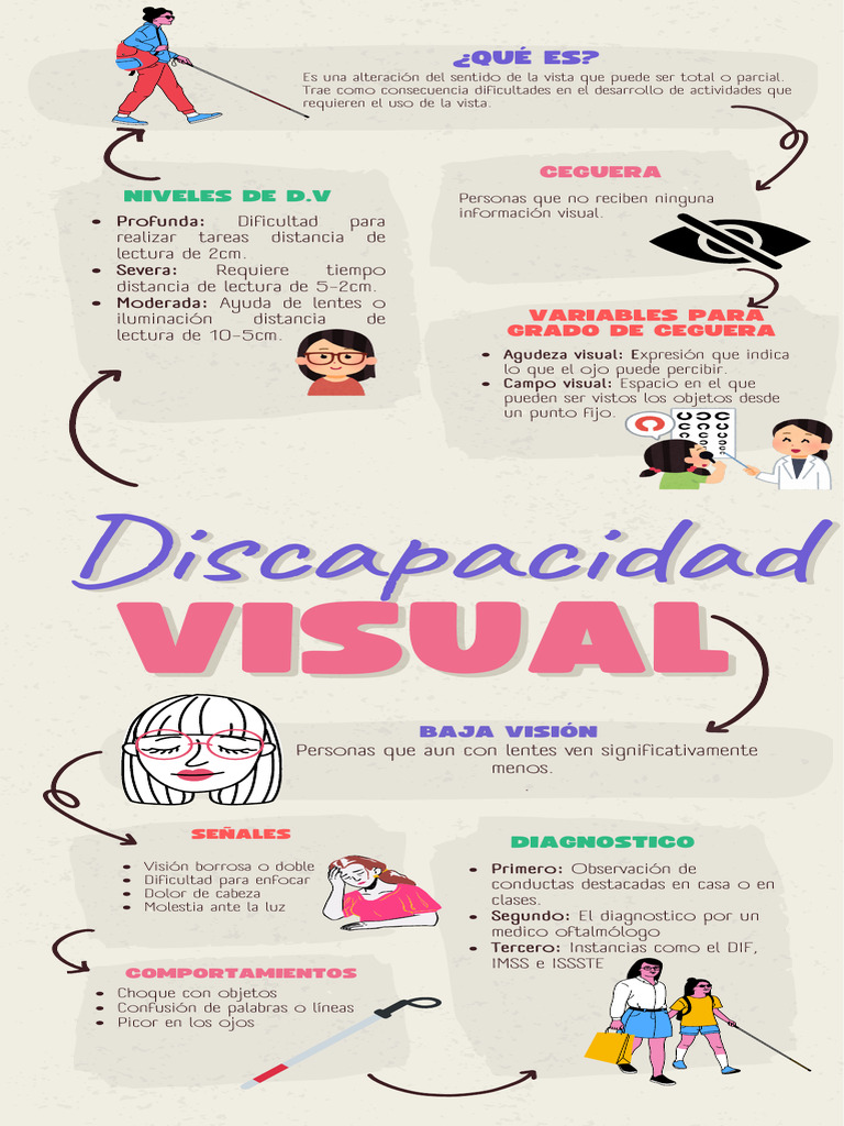 Discapacidad Visual | PDF