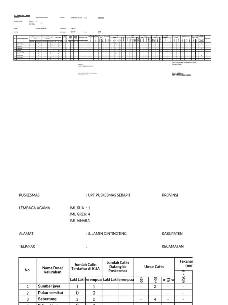 Laporan Pelayanan Catin Puskesmas Serapit | PDF