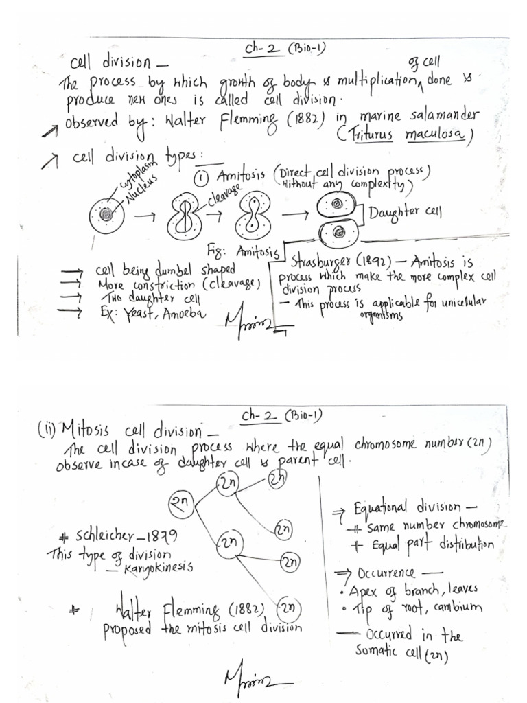 Bio-1 Ch-2 (Cell Cycle & Cell Division) | PDF