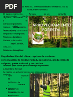 UNEV Instructivo para Seleccion PROBUS ACADEMY | PDF