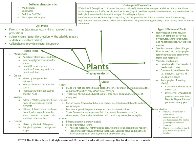 2024-Plant-Unit-Study-Guide | PDF | Plant Stem | Tissue (Biology)