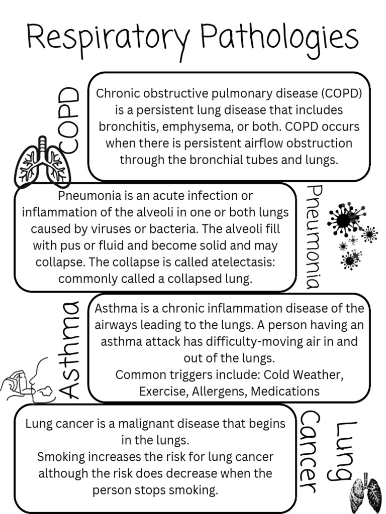 Overview of Respiratory Diseases | PDF | Respiratory Diseases | Chronic ...