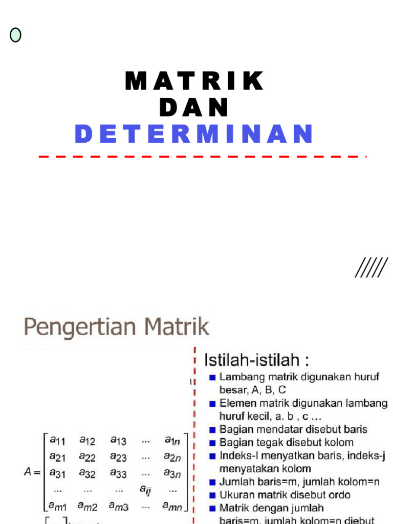 w5 - Matrik Dan Determinan1 | PDF
