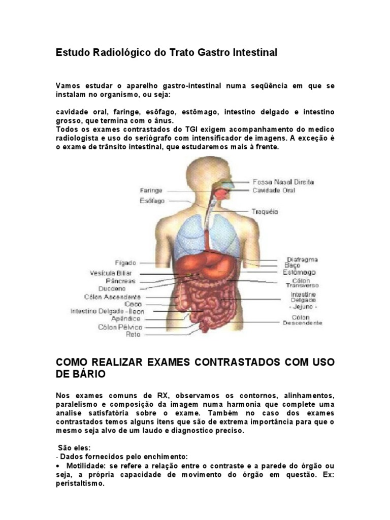 Estudo Radiológico do TGI e Trânsito Intestinal | PDF | Esôfago | Estômago