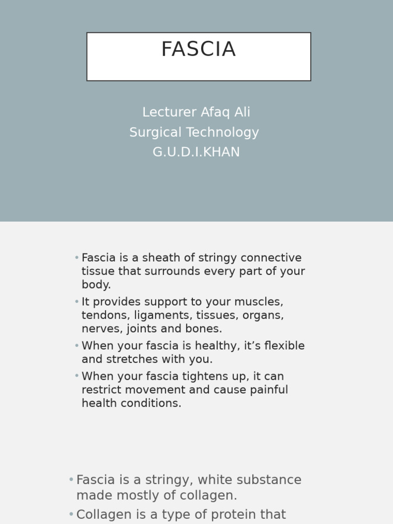 Fascia | PDF | Tendon | Morphology (Biology)