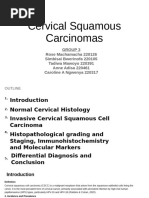 Cervical Anatomy and Histology Overview | PDF | Epithelium | Histology