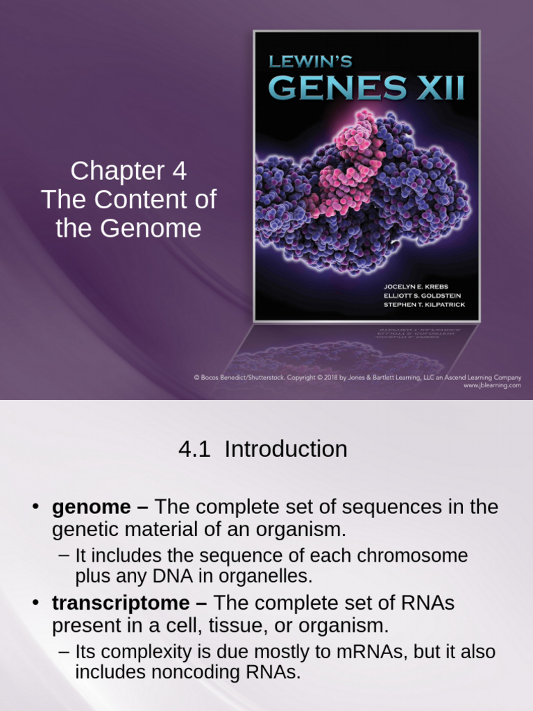 CH04 | PDF | Single Nucleotide Polymorphism | Genome