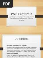 PNF Patterns: Upper and Lower Extremities | PDF | Anatomical Terms Of ...