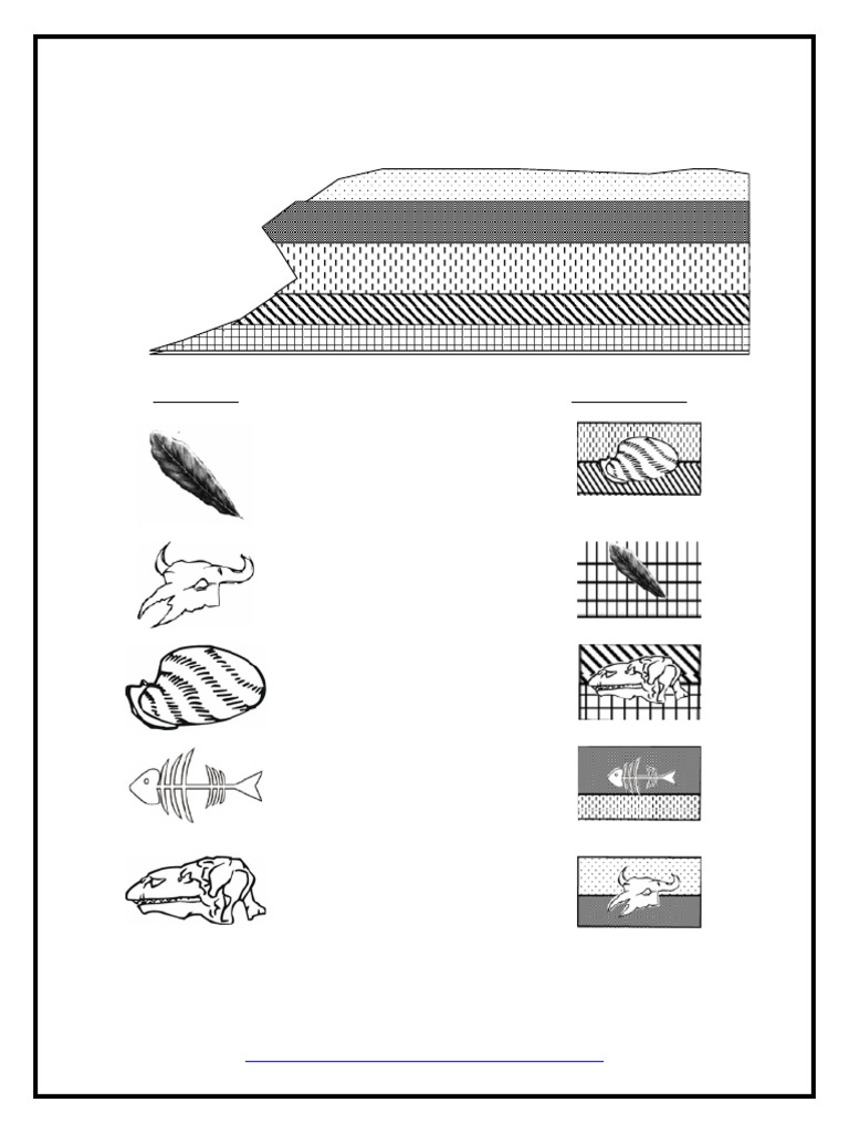 Fossils Match Up Worksheet | PDF