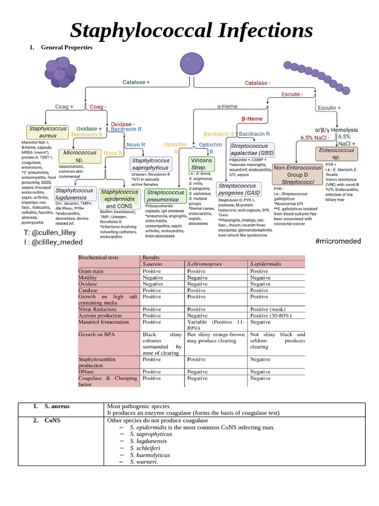 Staphylococcal Infections Pdf Staphylococcus Aureus Methicillin Resistant Staphylococcus