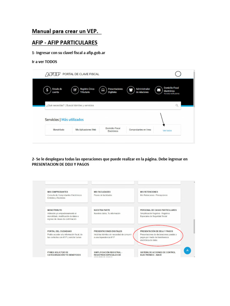 VEP para particulares | PDF