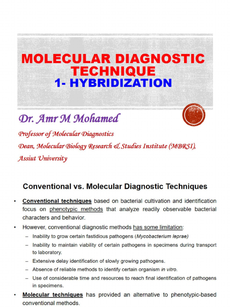 1 Dna Hybridization Pdf
