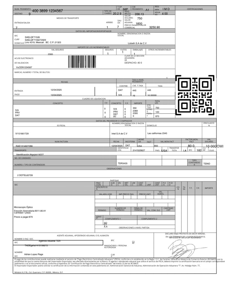 Formato b1 Pedimento PDF | PDF | Economía mundial | Economias