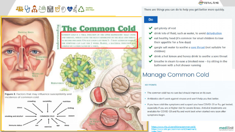 Health Dept.2-11-24-Common Cold | PDF