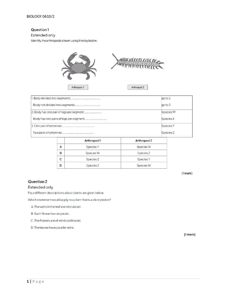 form 3 end of term p2 | PDF