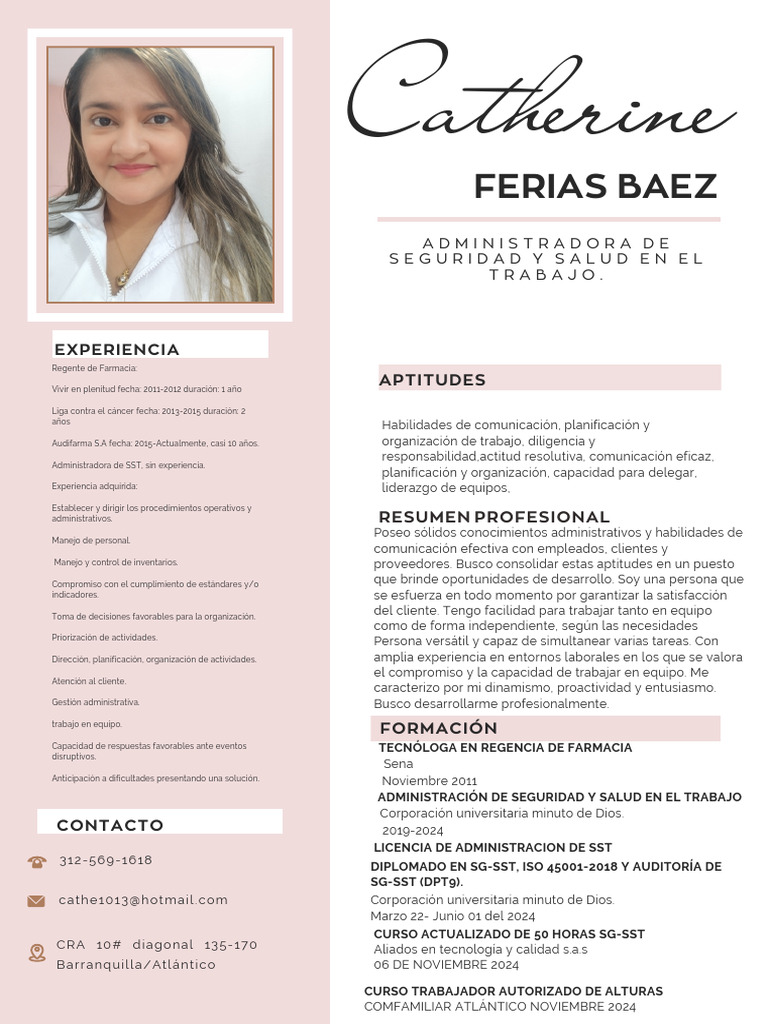 CV Catherine Ferias Baez Nov_20250203_122331_0000 | PDF | Planificación | Business