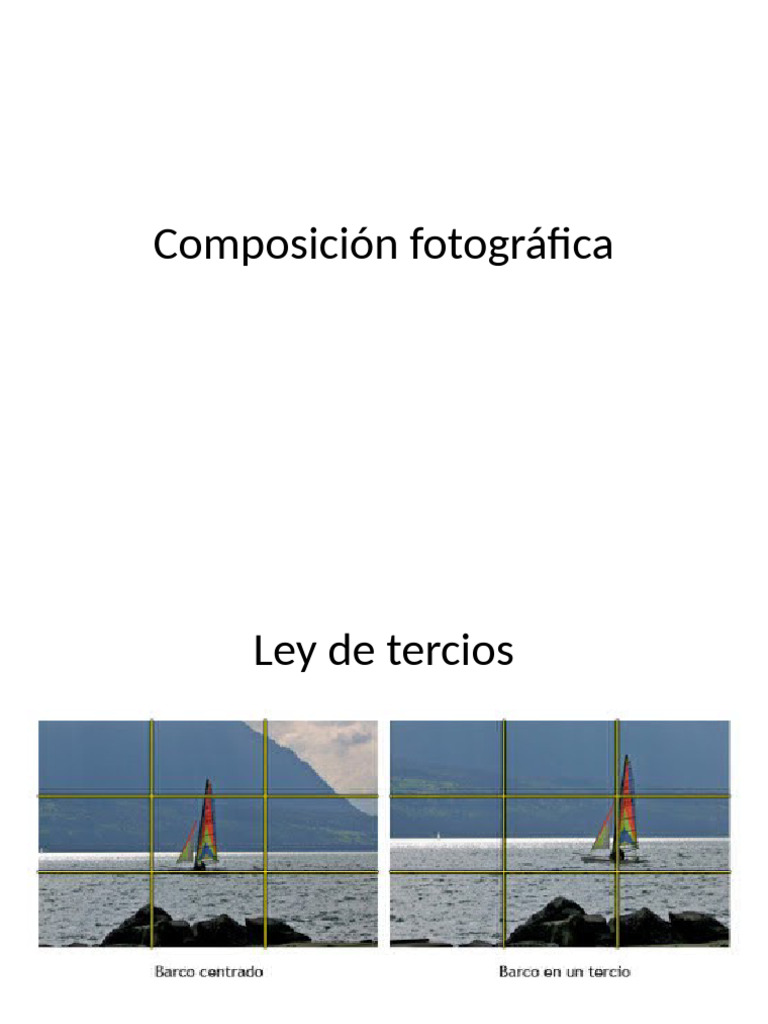 Técnicas de Composición Fotográfica | PDF