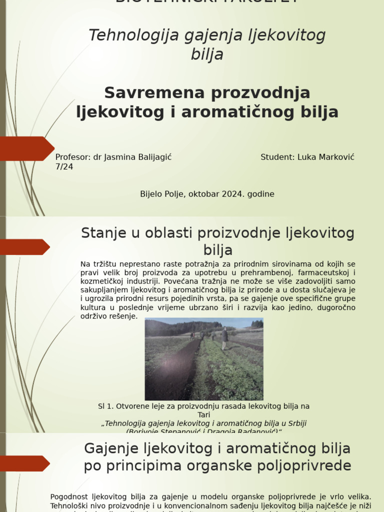 Savremena Proizvodnja Ljekovitog Bilja | PDF