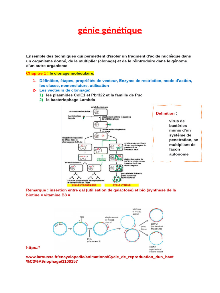 Définition et techniques du génie génétique | PDF | Biologie ...