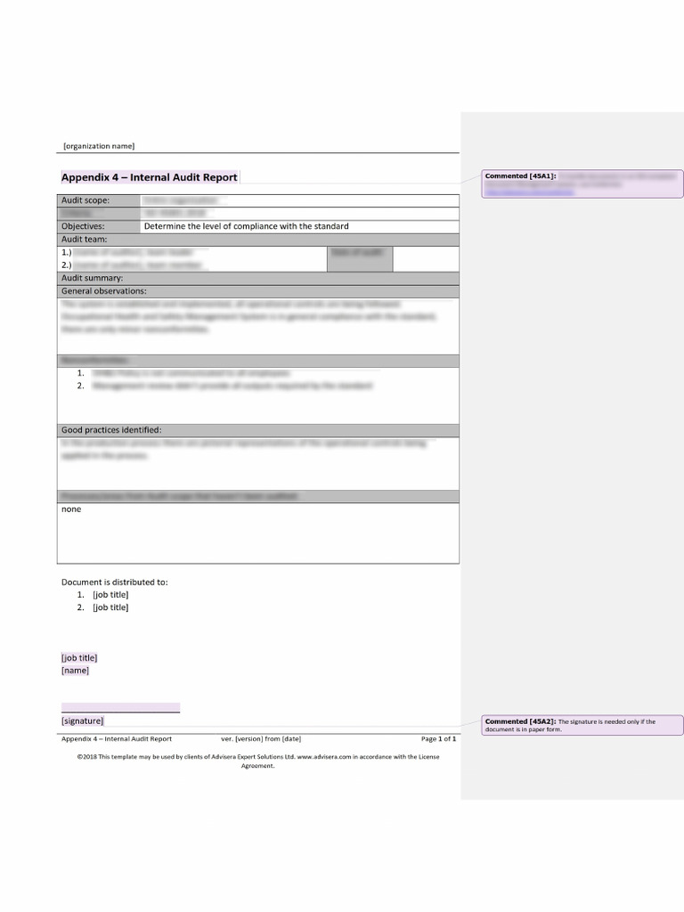 13.4 Appendix 4 Internal Audit Report Premium Preview en | PDF