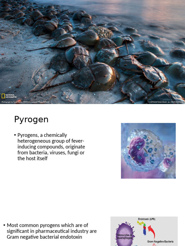 Pyrogenicity Endotoxins Endospores | PDF | Fever | Lipopolysaccharide