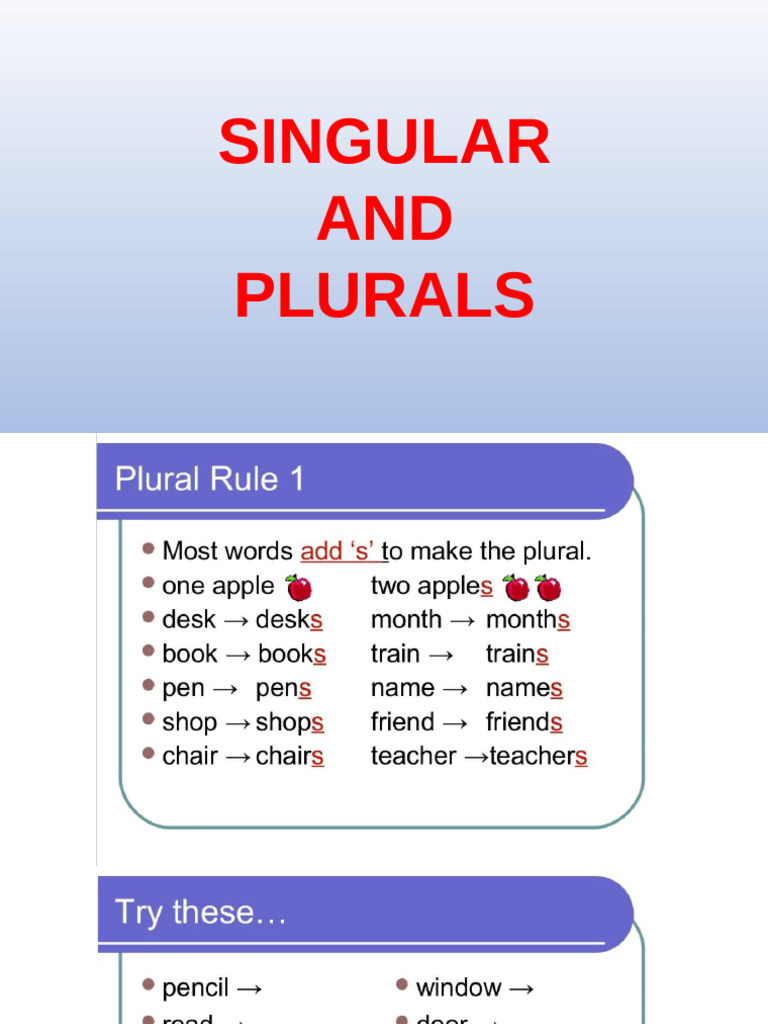 Singular vs. Plural Forms Explained | PDF