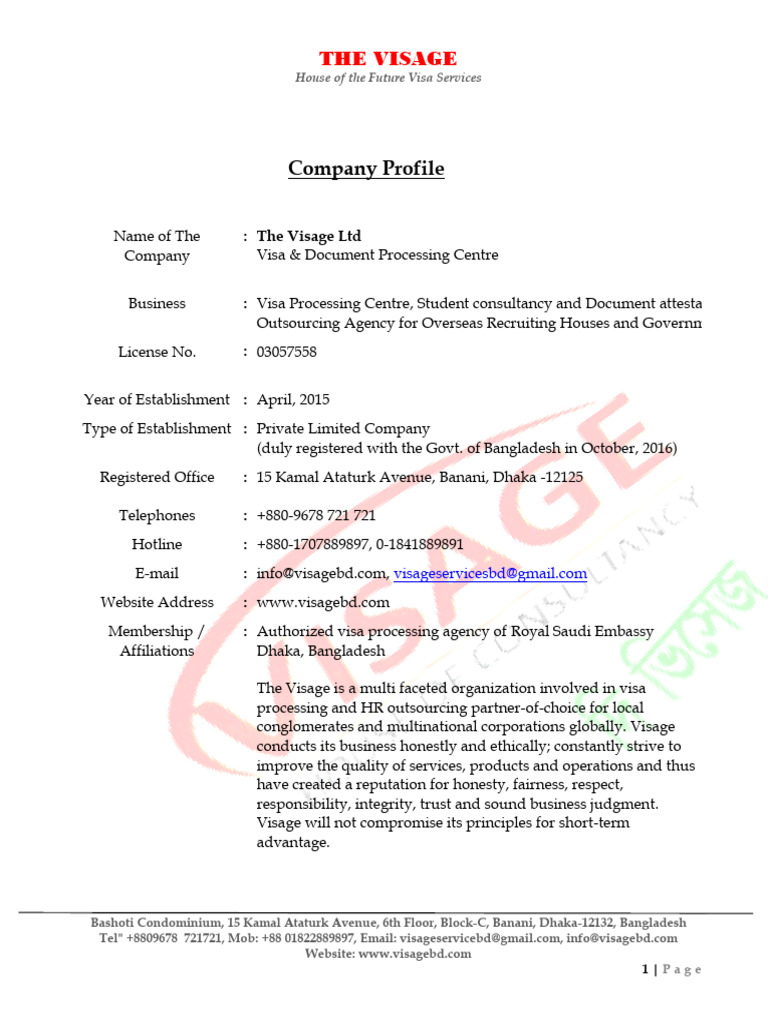 The VISAGE Company Profile Ksa | PDF | Passport | Travel Visa