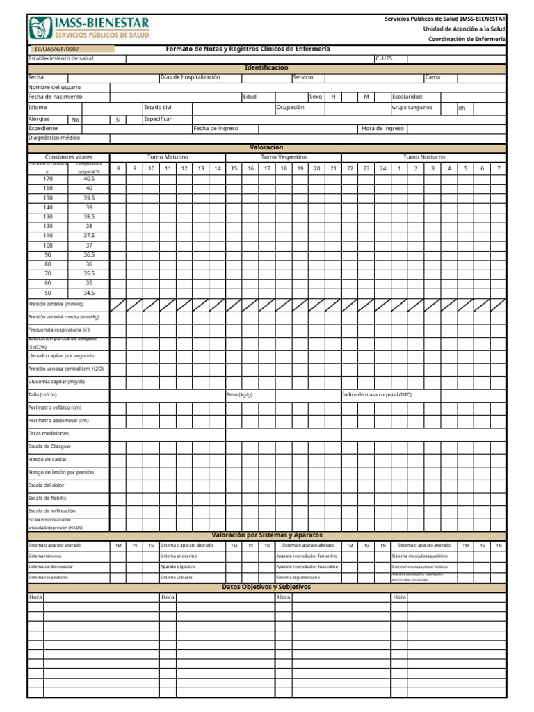 Formato De Registros Clínicos De Enfermería Pdf Especialidades