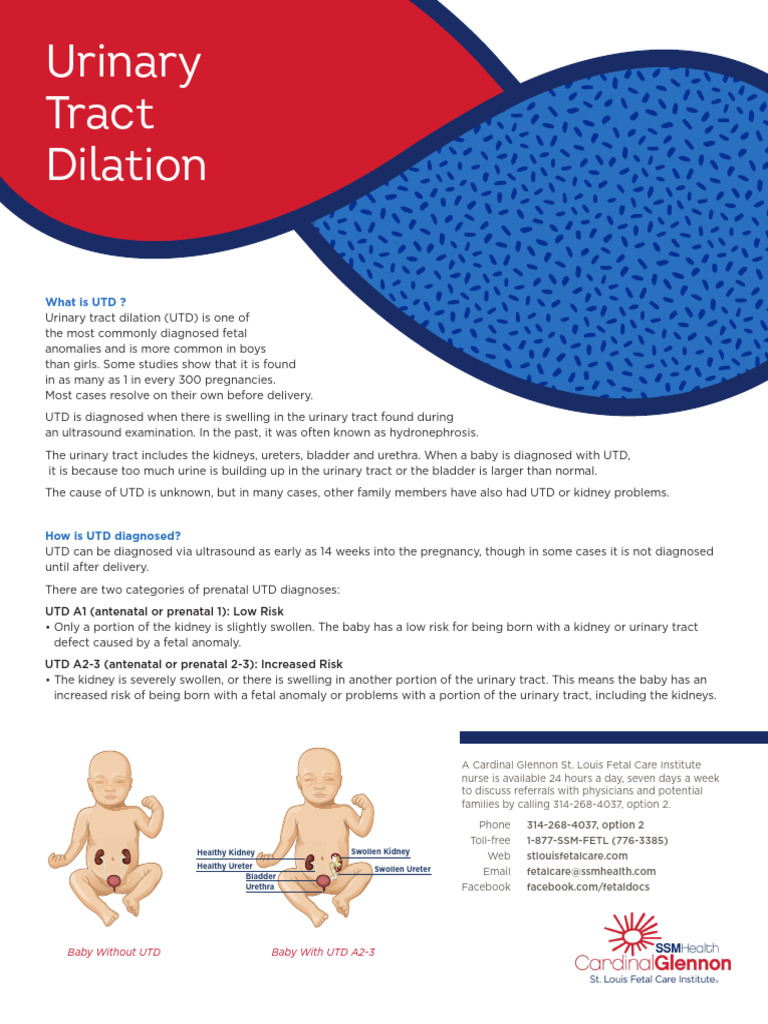 Fci Urinary Tract Dilation | PDF | Childbirth | Urinary System