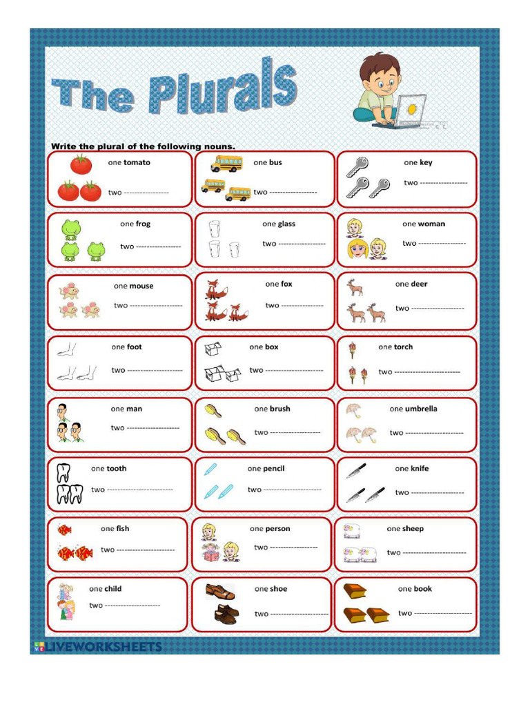 Plurals 2 - Febrero 20 | PDF