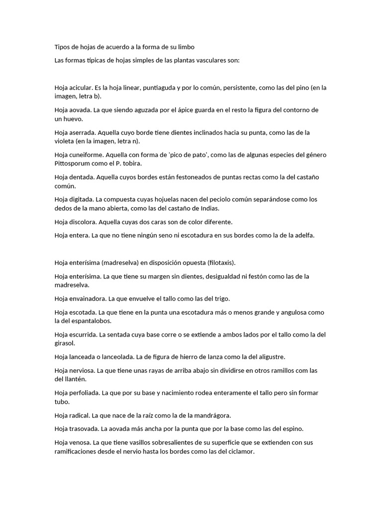 Clasificación de hojas por su limbo | PDF | Hoja | Botánica