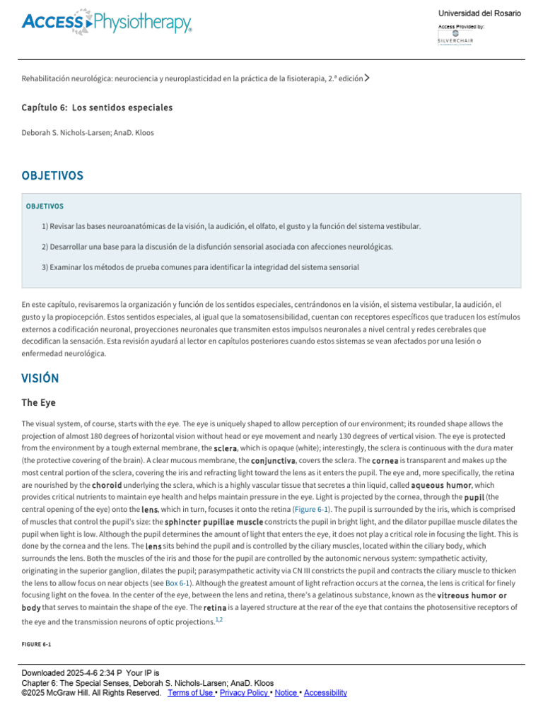 Chapter 6 - The Special Senses | PDF | Visual Cortex | Retina