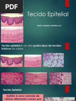 Aula 3 - Especializações Da Membrana | PDF | Membrana celular | Epitélio