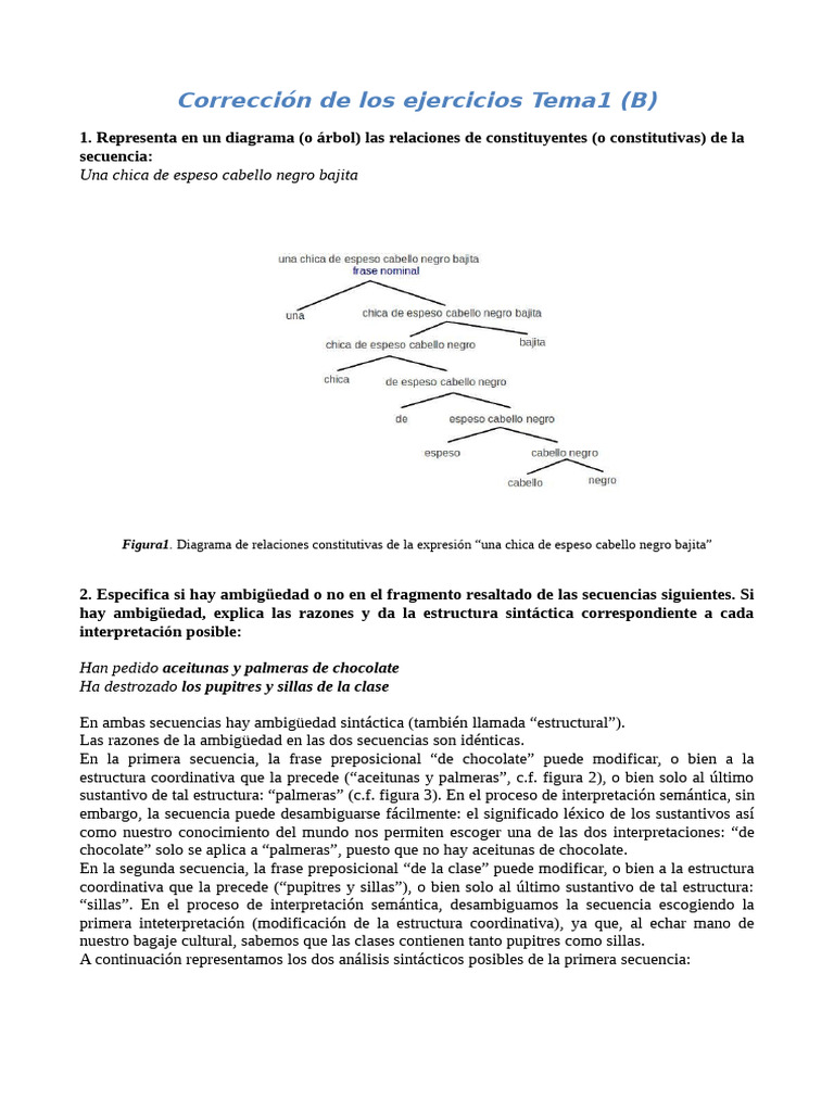 Respuestas Ejercicios Tema1 b | PDF