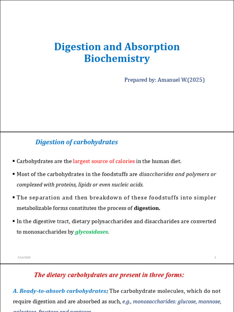 Digestion and Absorption Biochemistry | PDF | Digestion | Carbohydrates