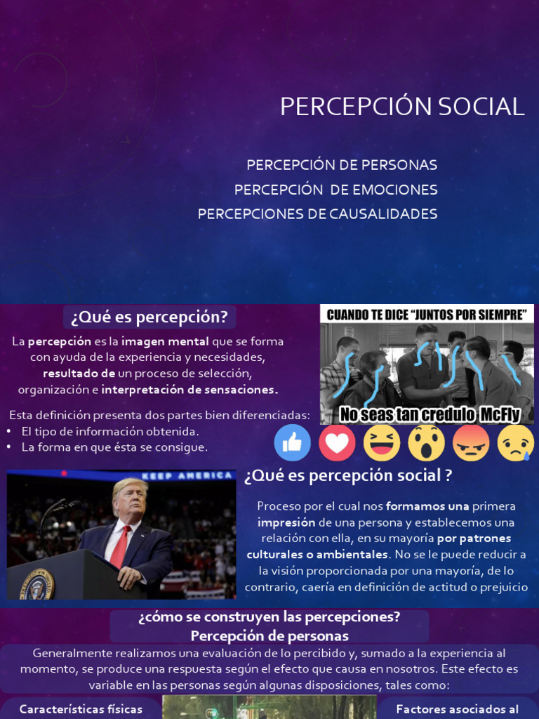 Percepción Social y Emocional Explicada | PDF | Percepción | Experiencia
