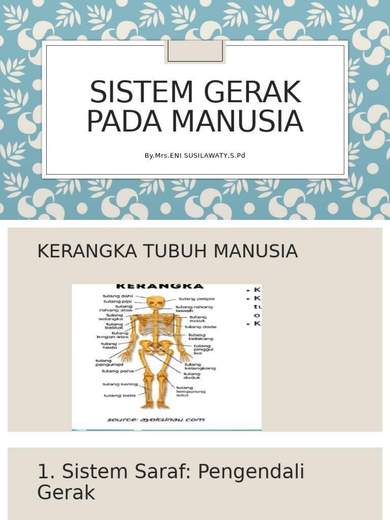 Sistem Gerak Manusia: Saraf, Otot, Rangka | PDF