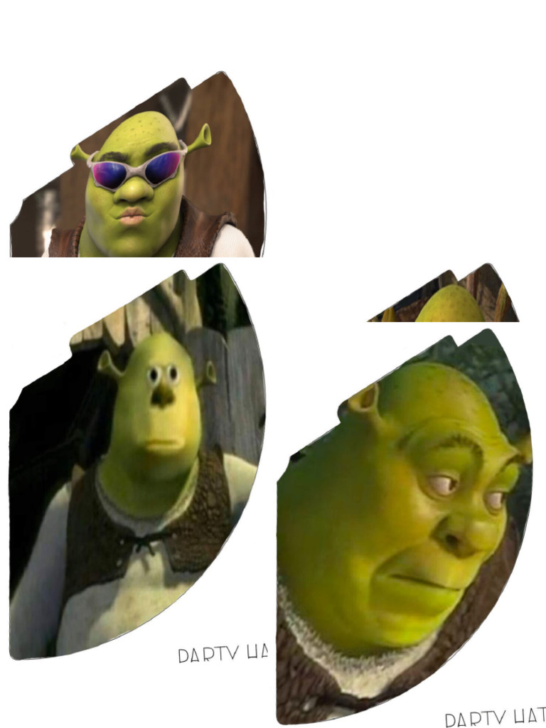 Conos de Sherk | PDF