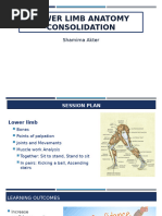 Palpation Techniques for Lower Extremities | PDF | Foot | Knee