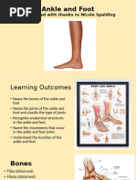 Foot and Ankle Anatomy Labeling Lab | PDF | Foot | Ankle