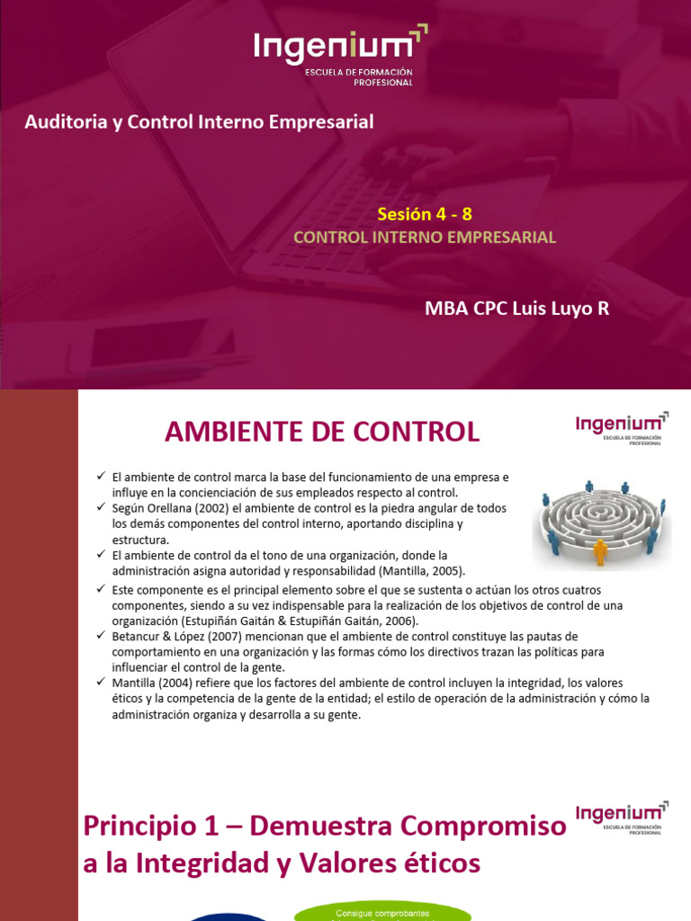 Control Interno Empresarial - Ambiente de Control | PDF | Business ...