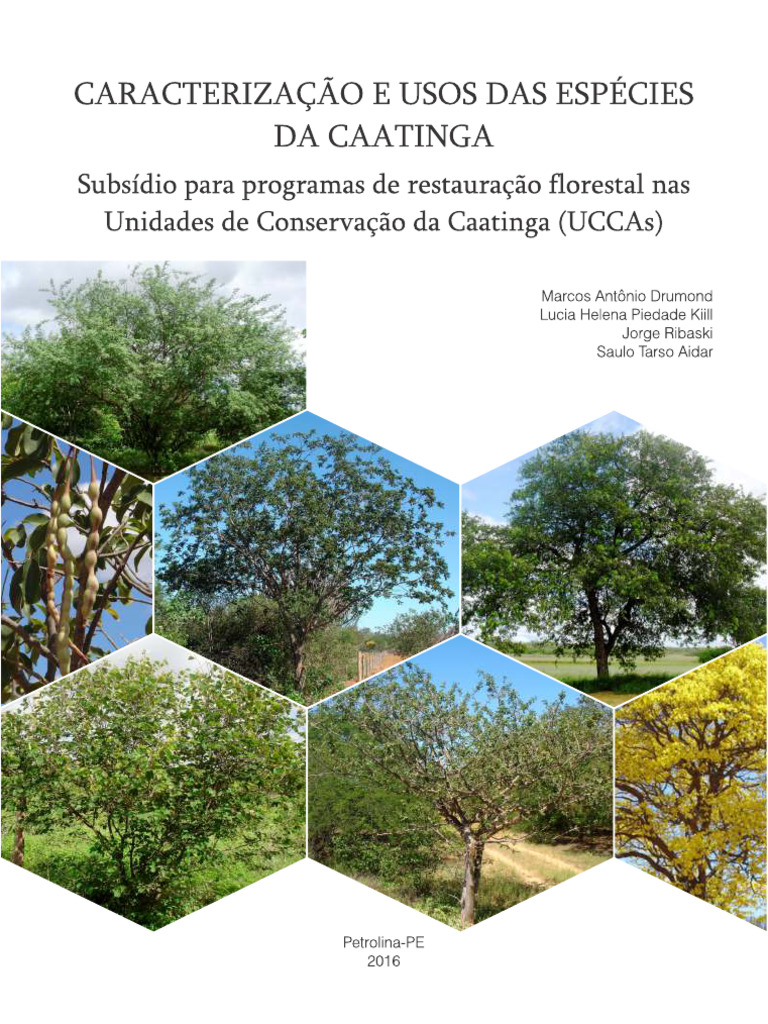 Cartilha Plantas Caatinga 11 8 | PDF