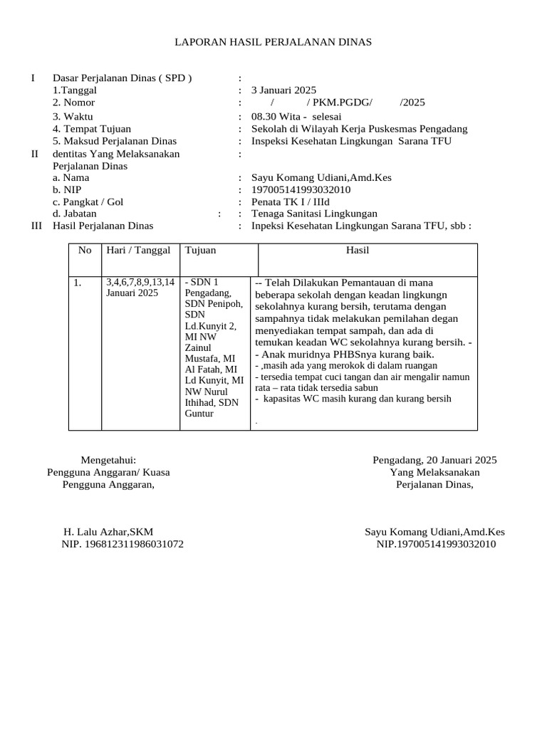 Laporan Hasil Perjalanan Dinas TFU | PDF