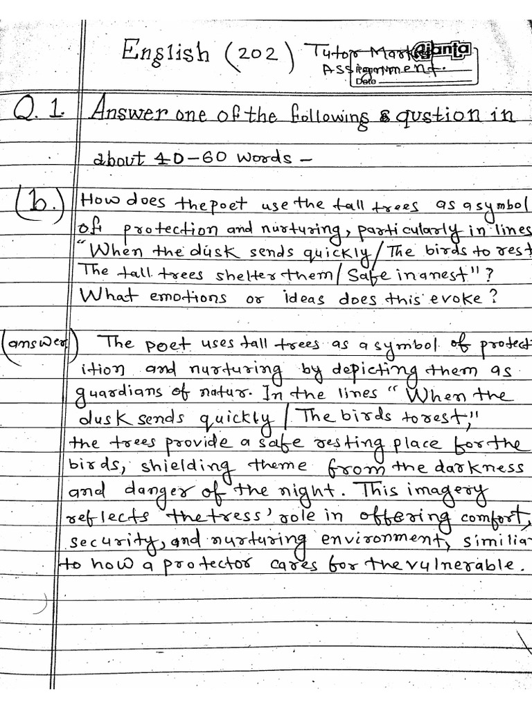 English Tma Nios | PDF