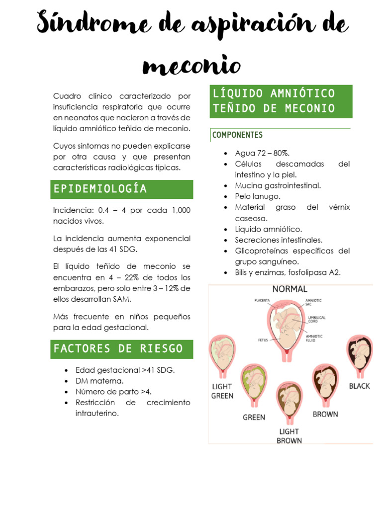 Síndrome de Aspiración de Meconio | PDF | Feto | Medicina CLINICA