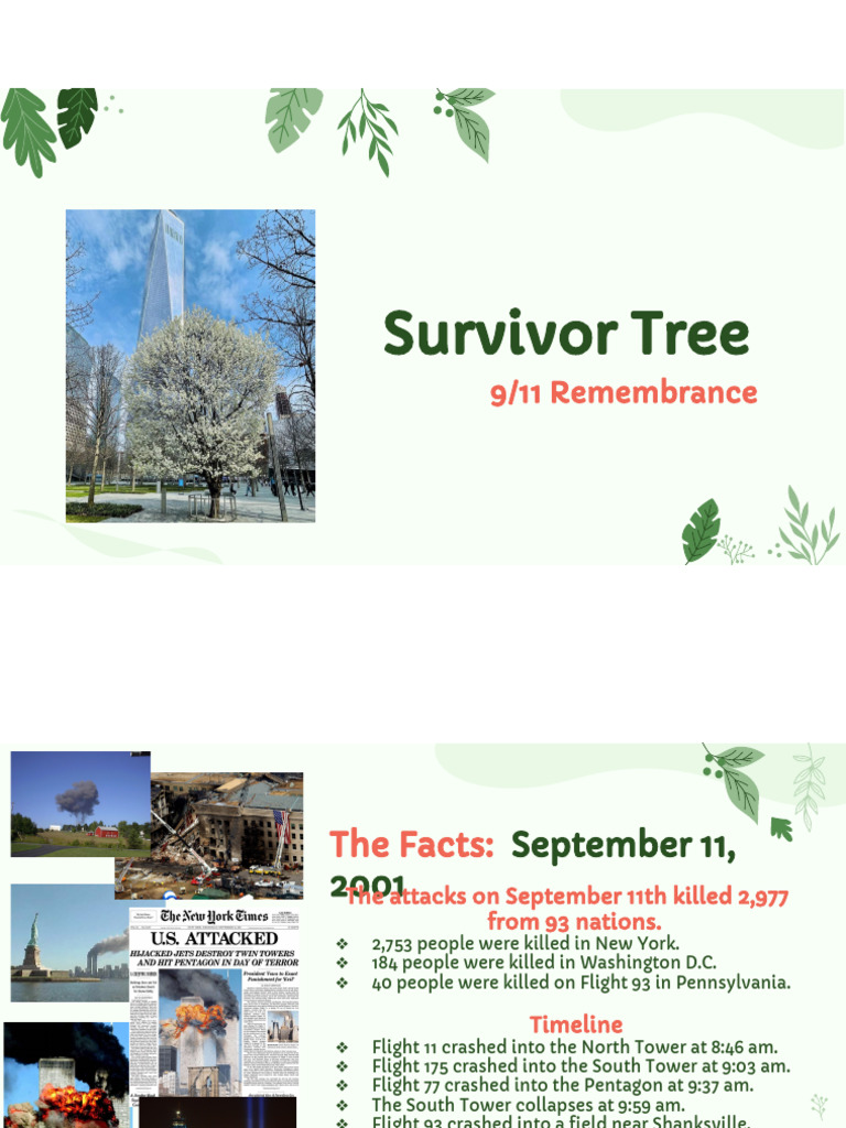 Survivor Tree: Hope After 9/11 | PDF