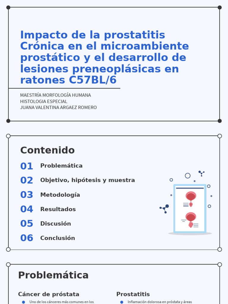 Prostatitis Cronica | PDF | Próstata | Inflamación