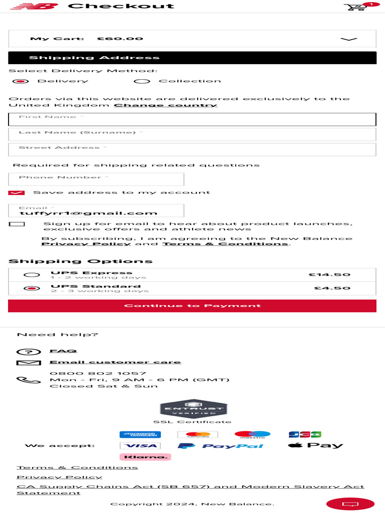 Checkout - New Balance | PDF