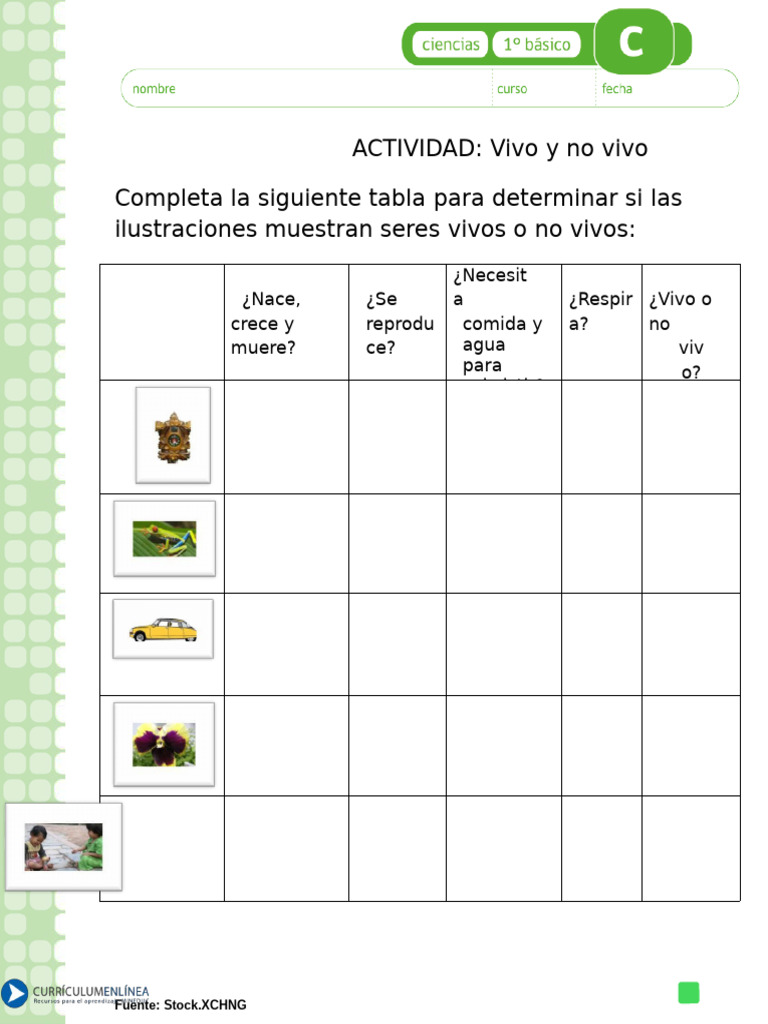 Seres Vivos y No Vivos para Niños | PDF